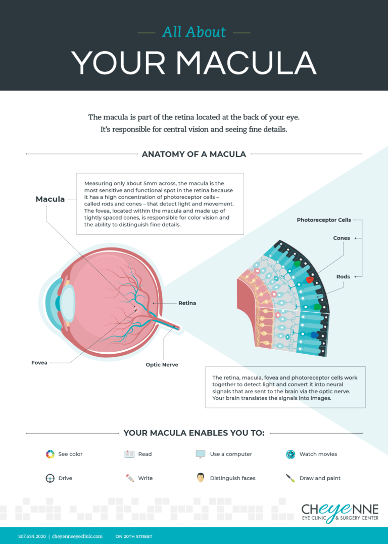 Read the blog to learn All About Your Macula